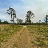 Econlockhatchee River Trail, Florida - 449 Reviews, Map | AllTrails