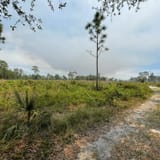 Econlockhatchee River Trail, Florida - 449 Reviews, Map | AllTrails