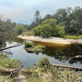 Econlockhatchee River Trail, Florida - 449 Reviews, Map | AllTrails