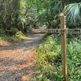 Econlockhatchee River Trail, Florida - 449 Reviews, Map | AllTrails
