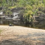 Econlockhatchee River Trail, Florida - 449 Reviews, Map | AllTrails