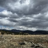 Hall Ranch Loop: Nighthawk to Bitterbrush, Colorado - 425 Reviews, Map ...