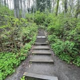 Discovery Park and Lighthouse Loop, Washington - 6,433 Reviews, Map ...