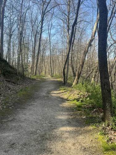 Best Historic Site Trails in Peninsula | AllTrails