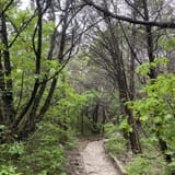 Cedar Ridge Outer Loop, Texas - 2,061 Reviews, Map | AllTrails