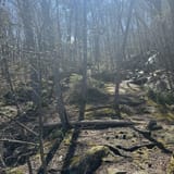 Zoar Trail, Connecticut - 2,148 Reviews, Map | AllTrails