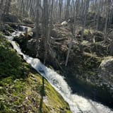 Zoar Trail, Connecticut - 2,148 Reviews, Map | AllTrails