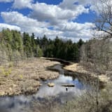 Caledon Trailway, Ontario, Canada - 303 Reviews, Map | AllTrails