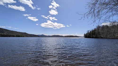 Best Forest Trails in Jessup River Wild Forest | AllTrails