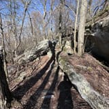 Peters Mountain Ridge via Appalachian Trail, Pennsylvania - 1,542 ...