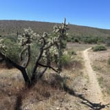 Dixie Mine Trail, Arizona - 147 Reviews, Map | AllTrails