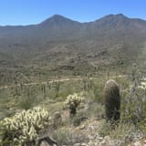 Dixie Mine Trail, Arizona - 147 Reviews, Map | AllTrails