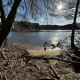 Mashpee River Woodlands North Trail, Massachusetts - 618 Reviews, Map ...