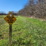 Bloodroot Trail, Indiana - 676 Reviews, Map | AllTrails