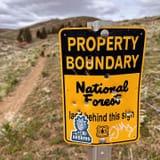 Keystone Canyon Trail, Nevada - 1,213 Reviews, Map | AllTrails