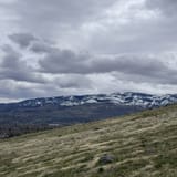 Keystone Canyon Trail, Nevada - 1,213 Reviews, Map | AllTrails