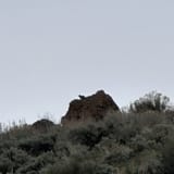 Keystone Canyon Trail, Nevada - 1,213 Reviews, Map | AllTrails