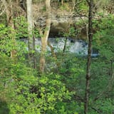 Flat Fork Ridge Trail, Ohio - 1,215 Reviews, Map | AllTrails