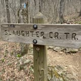 Jarrard Gap, Slaughter Creek, and Appalachian Trail Loop, Georgia - 380 ...
