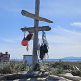 Dungeness Spit Trail, Washington - 1,576 Reviews, Map | AllTrails