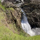 Fairy Falls Trail to Beale/Shingle Falls, California - 2,048 Reviews ...
