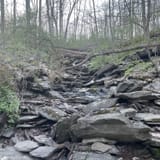 High Rocks, Pennsylvania - 2,925 Reviews, Map | AllTrails