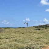 Ka'ena Point Trail (from South), Oahu, Hawaii - 2,394 Reviews, Map ...