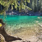 Lindeman Lake Trail, British Columbia, Canada - 1,878 Reviews, Map ...