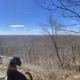 Mount Tom Tower Trail, Connecticut - 294 Reviews, Map | AllTrails