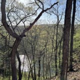 Oak Ridge Trail, Missouri - 171 Reviews, Map | AllTrails