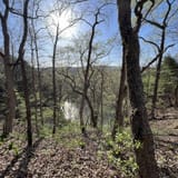 Oak Ridge Trail, Missouri - 180 Reviews, Map | AllTrails