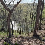 Oak Ridge Trail, Missouri - 172 Reviews, Map | AllTrails