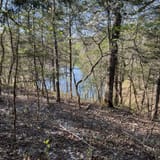Oak Ridge Trail, Missouri - 172 Reviews, Map | AllTrails