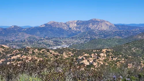 Best Wild Flowers Trails in Crestridge Ecological Reserve | AllTrails