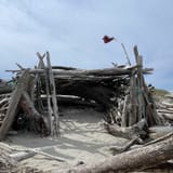 Bayocean Peninsula, Oregon - 710 Reviews, Map | AllTrails
