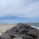 Bayocean Peninsula, Oregon - 710 Reviews, Map | AllTrails