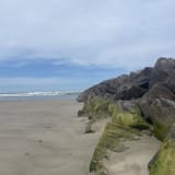 Bayocean Peninsula, Oregon - 710 Reviews, Map | AllTrails