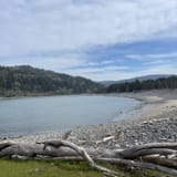 Bayocean Peninsula, Oregon - 710 Reviews, Map | AllTrails
