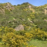 Round Top, Volcanic and Skyline Loop, California - 2,928 Reviews, Map ...