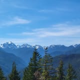 Mount Walker, Washington - 1,983 Reviews, Map | AllTrails