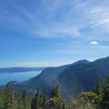 Mount Walker, Washington - 1,983 Reviews, Map | AllTrails