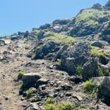 Mission Peak Loop from Stanford Avenue Staging Area, California - 8,216 ...