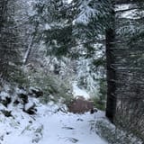 Ira Spring Memorial Trail, Washington - 2,014 Reviews, Map | AllTrails