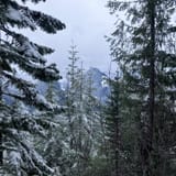 Ira Spring Memorial Trail, Washington - 2,014 Reviews, Map | AllTrails