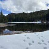 Mink Lake, Washington - 210 Reviews, Map | AllTrails