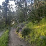 Overlook and Round Top Loop, California - 1,735 Reviews, Map | AllTrails