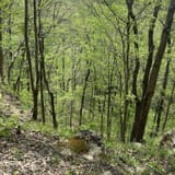 Winding Stairs Loop, Tennessee - 688 Reviews, Map | AllTrails