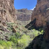 Fish Creek Trail, Arizona - 114 Reviews, Map | AllTrails