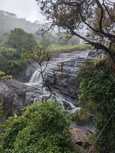 Best Forest Trails in Haputale | AllTrails