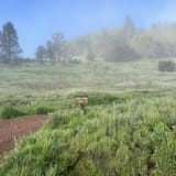 East Ridge and Cronan Ranch Loop, California - 1,054 Reviews, Map ...